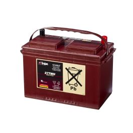 Trojan DC Flooded 12V 115Ah